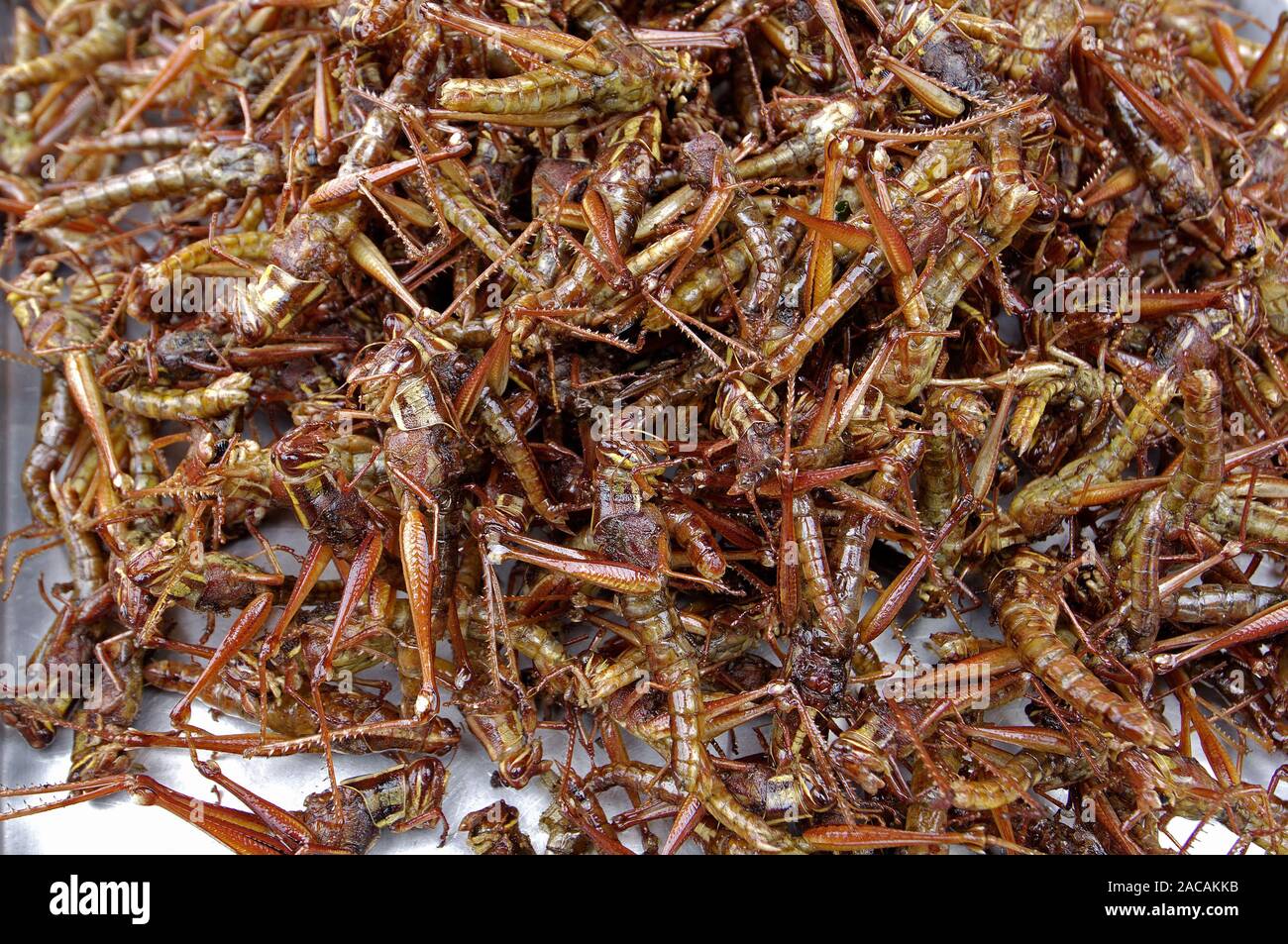 Fried locusts hi-res stock photography and images - Alamy