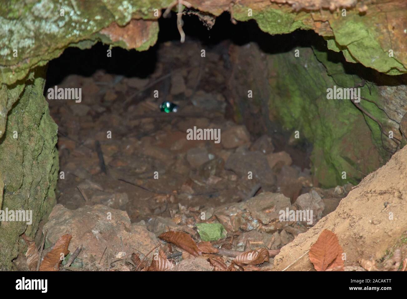 Cave in autumn with leaves Stock Photo - Alamy