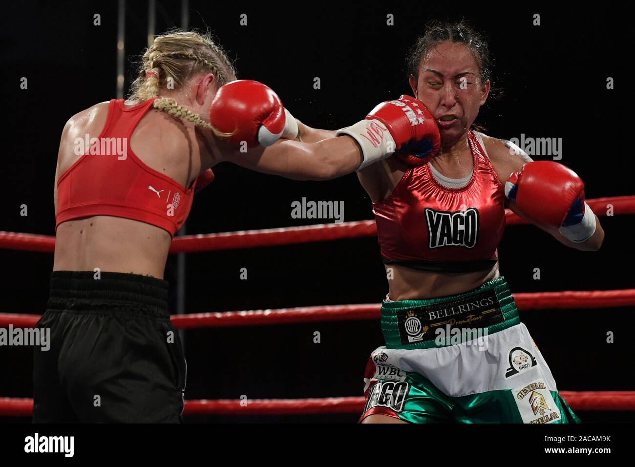 Kladno, Czech Republic. 30th Nov, 2019. Czech professional boxer ...