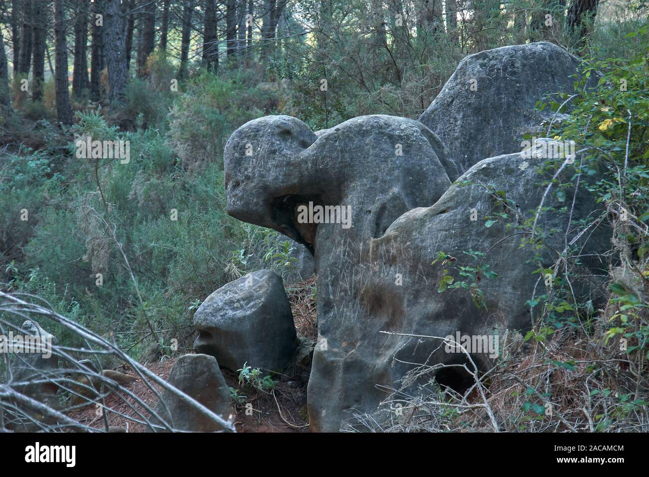 Rock with forest pine hi-res stock photography and images - Alamy