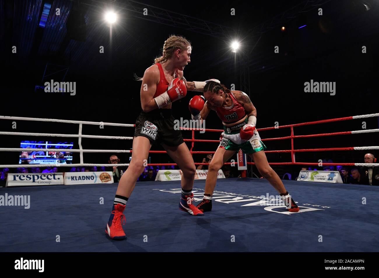Kladno, Czech Republic. 30th Nov, 2019. Czech professional boxer ...
