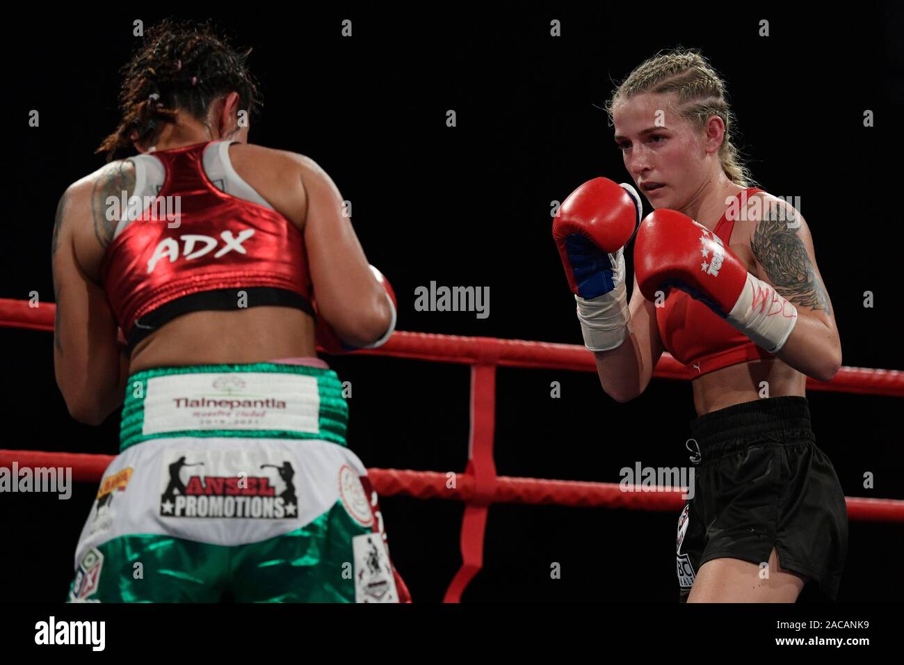 Kladno, Czech Republic. 30th Nov, 2019. Czech professional boxer ...