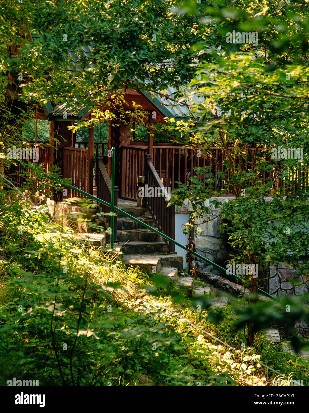 wooden arbor among tall trees Stock Photo - Alamy