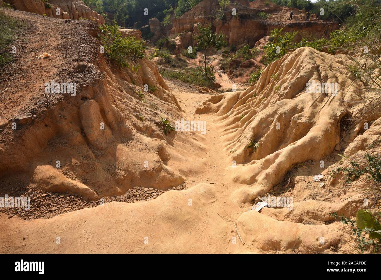 Gangani ravines at the bank of the river Shilabati or Shilai in Garbeta ...