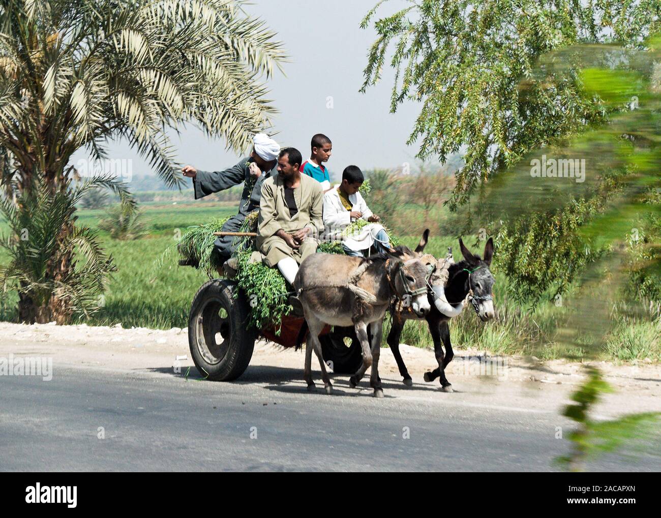 Living in Africa. People in everyday life Stock Photo - Alamy