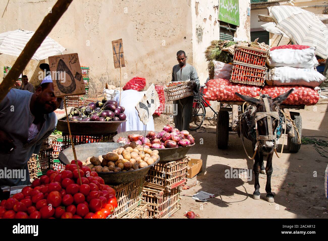 Aswan people hi-res stock photography and images - Alamy