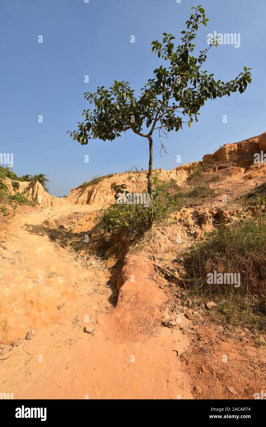 Gangani ravines at the bank of the river Shilabati or Shilai in Garbeta ...