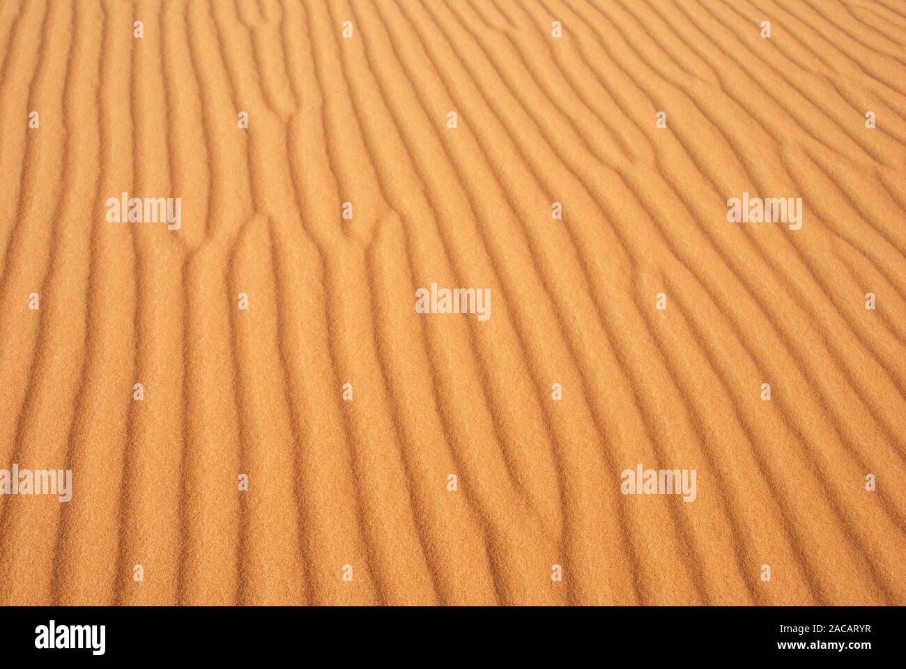 Wind shaped sand dunes, Erg Chebbi, Morocco, Africa Stock Photo - Alamy