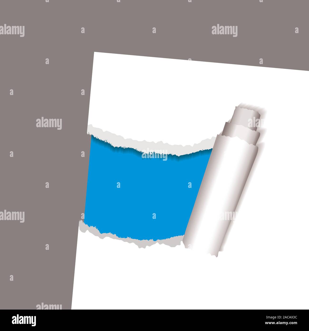 torn paper reveal curl Stock Photo - Alamy