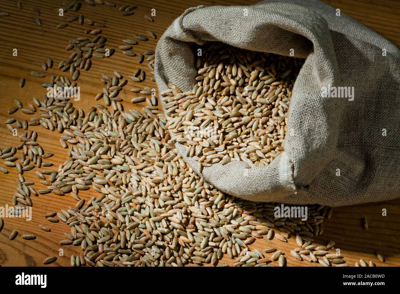 Rye cereal grains Stock Photo - Alamy