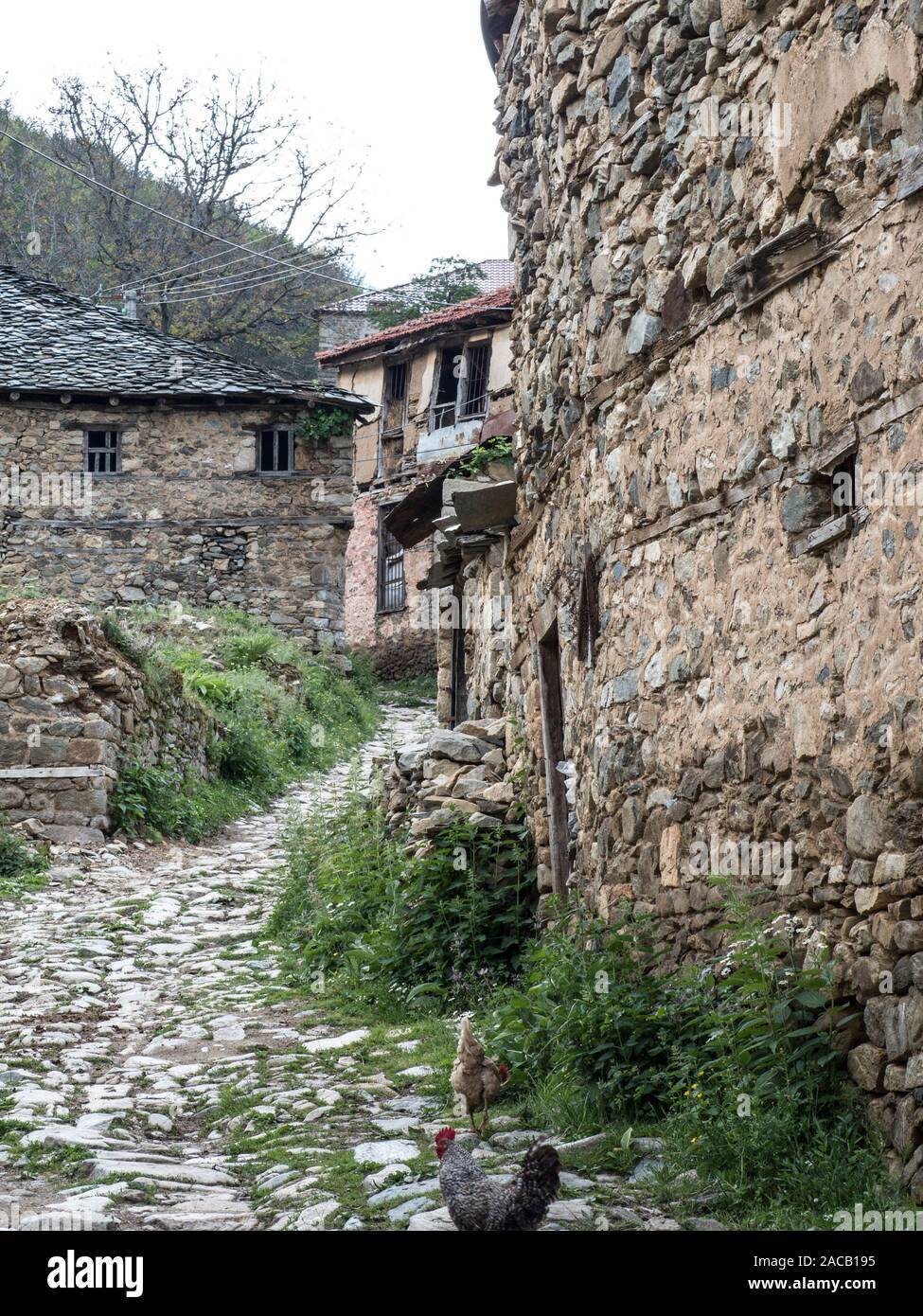 Vlachs hi-res stock photography and images - Alamy