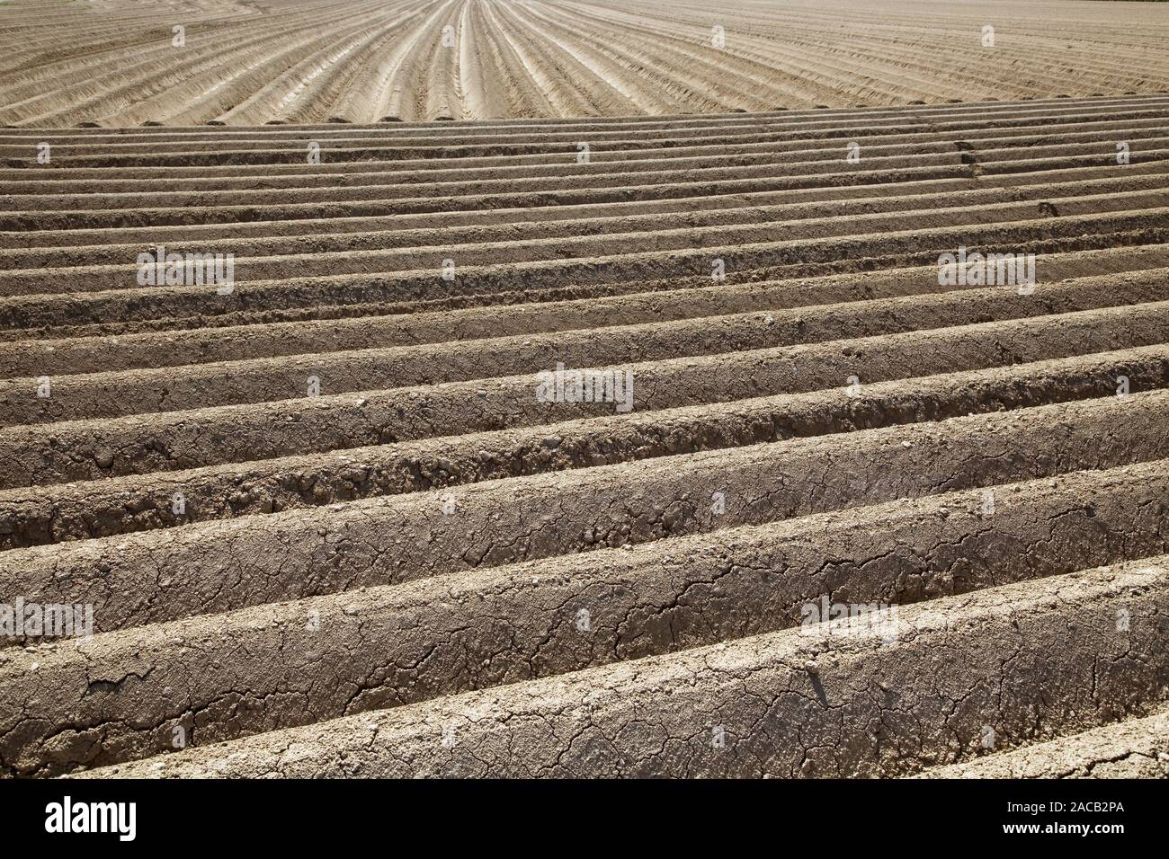 Fresh field in agriculture Stock Photo - Alamy