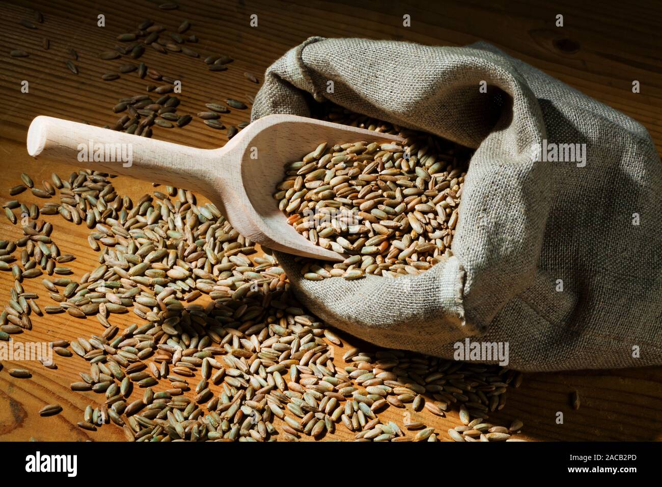 Rye cereal grains Stock Photo - Alamy