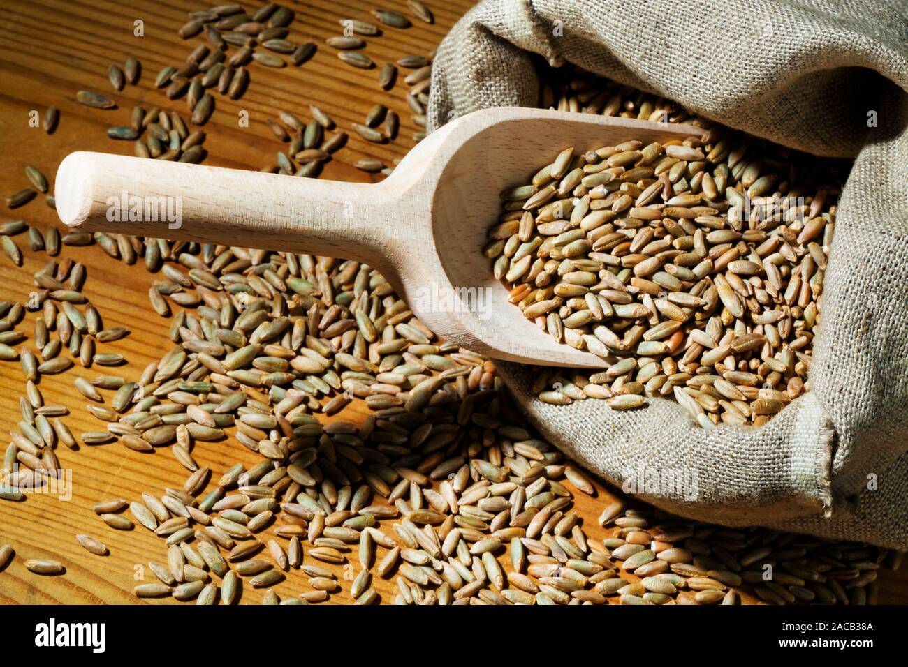 Rye cereal grains Stock Photo - Alamy