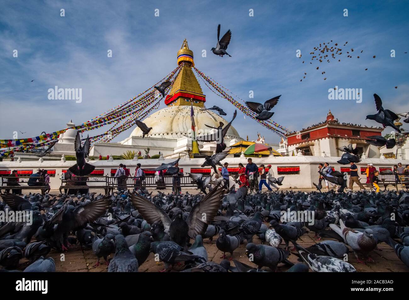 Panoramic view of the Boudha Stupa in the suburb Boudhanath, big flock ...
