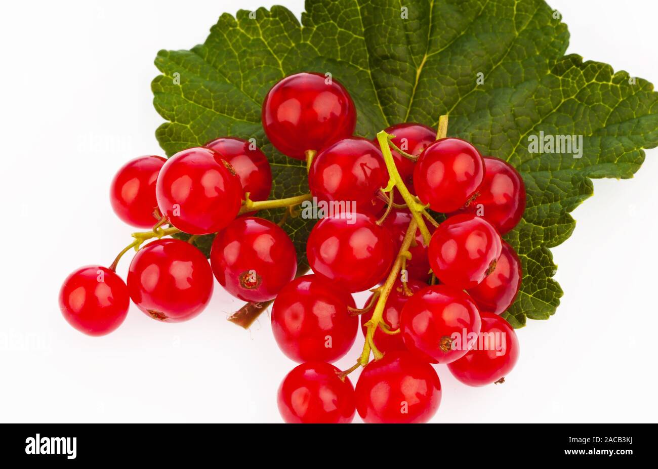 Rote johannisbeeren hi-res stock photography and images - Alamy