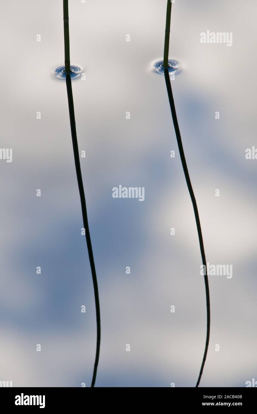 Rena norway hi-res stock photography and images - Alamy