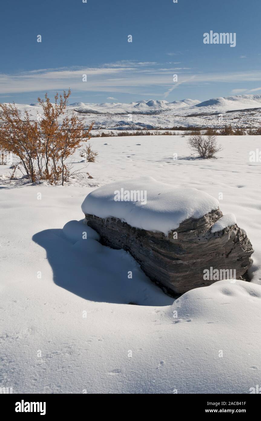 View from valley Doeralen, Rondane, to peaks in Alvdal Vestfjell ...