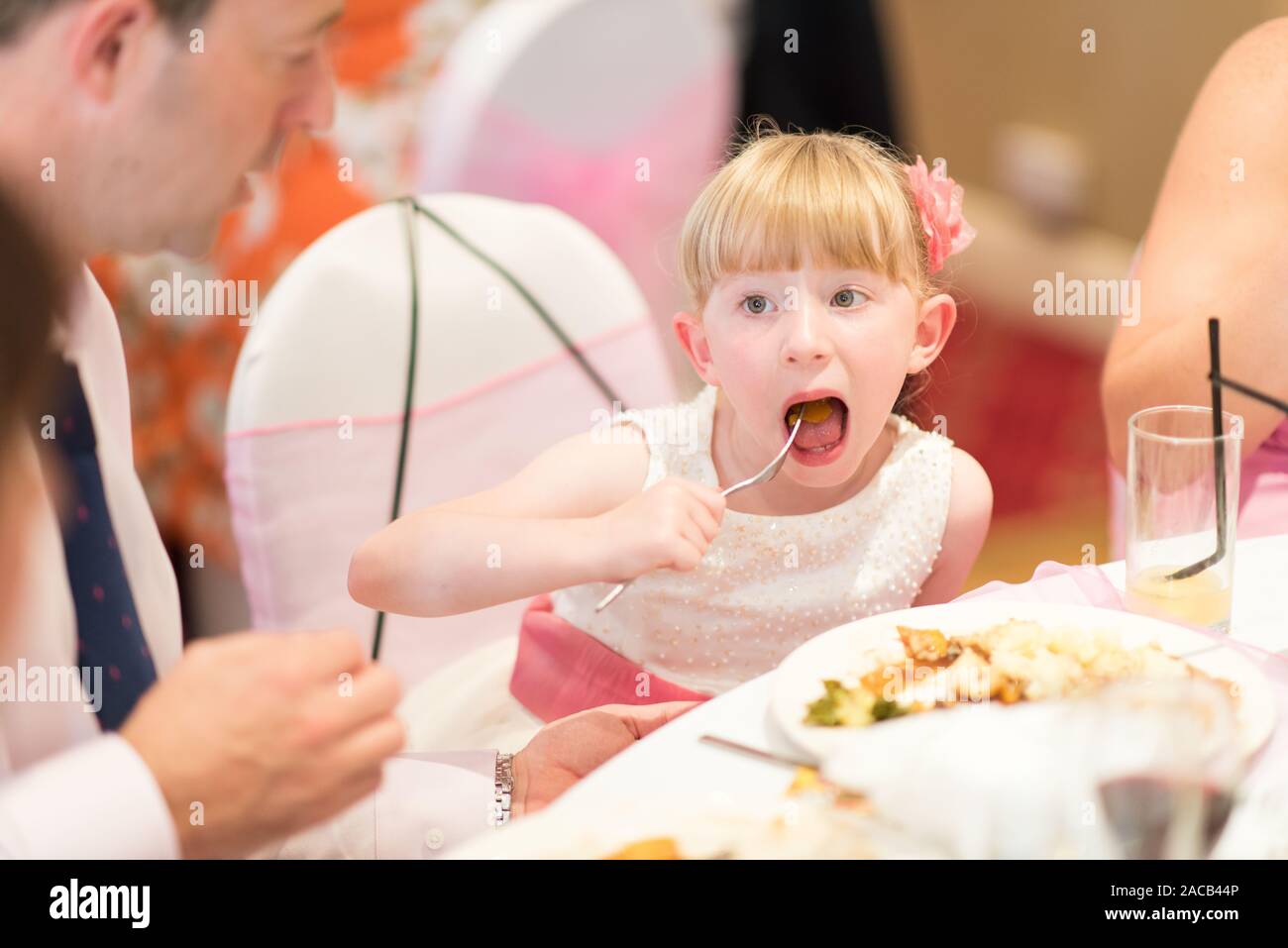 Wedding guests enjoy their Wedding breakfast at the Borough Arms hotel ...