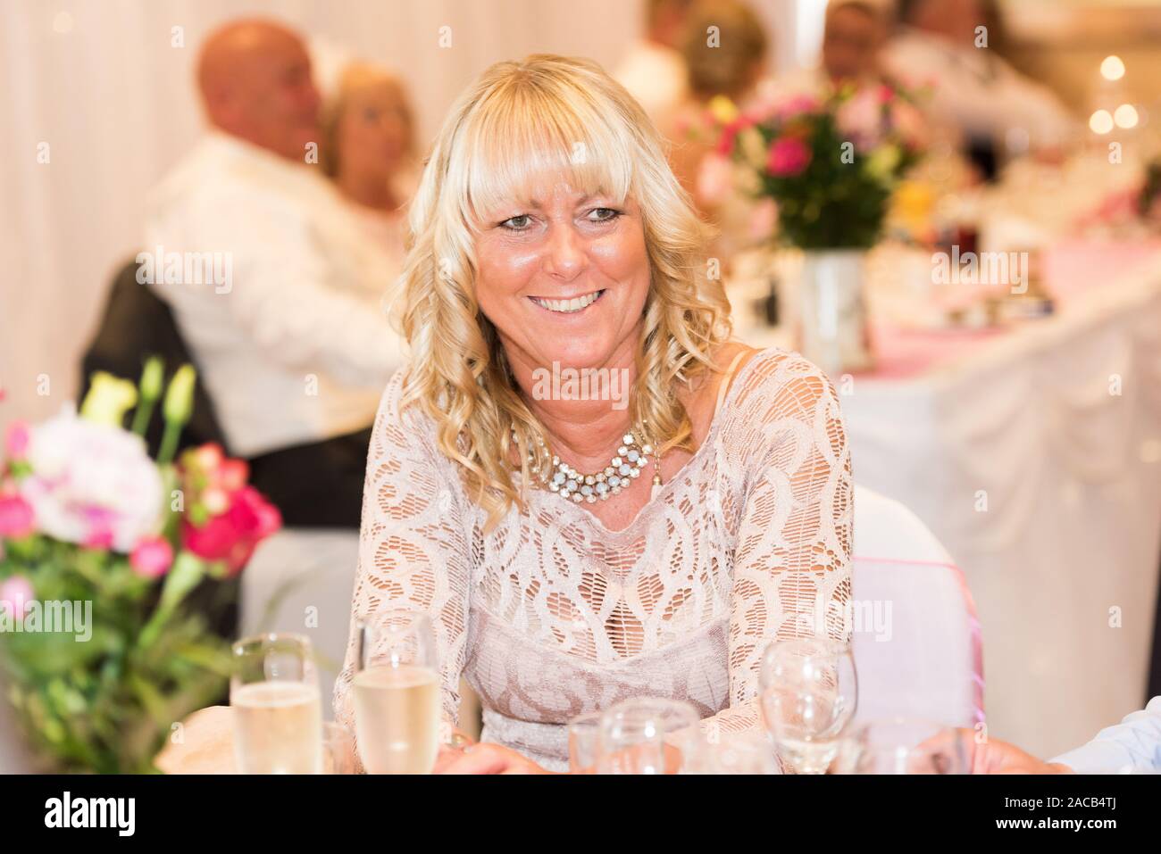 Wedding guests smiling, laughing and having fun at the wedding ...