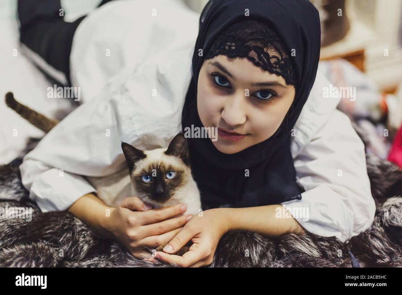 Attractive muslim girl plays with her exotic domestic Siamese cat. Cute ...
