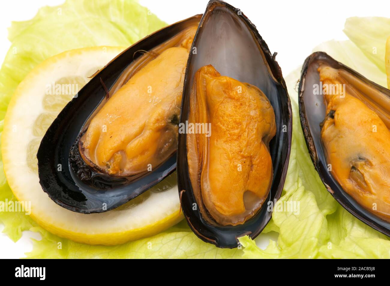 Mussels and their ingredients hi-res stock photography and images - Alamy