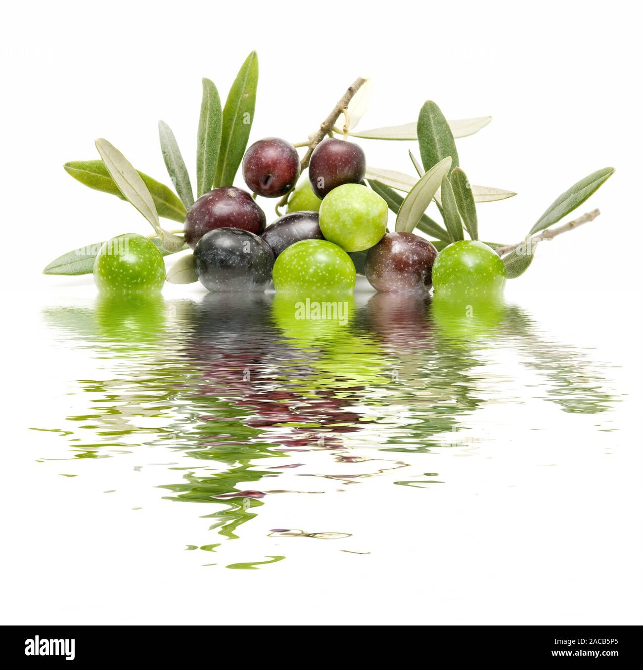 Water olive Cut Out Stock Images & Pictures - Alamy