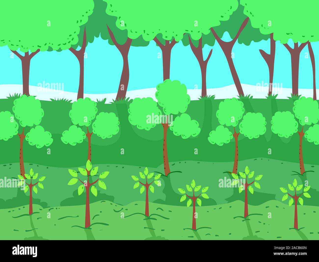 Illustration of Tree Plants Level from Seedling to a Mature Tree Stock ...
