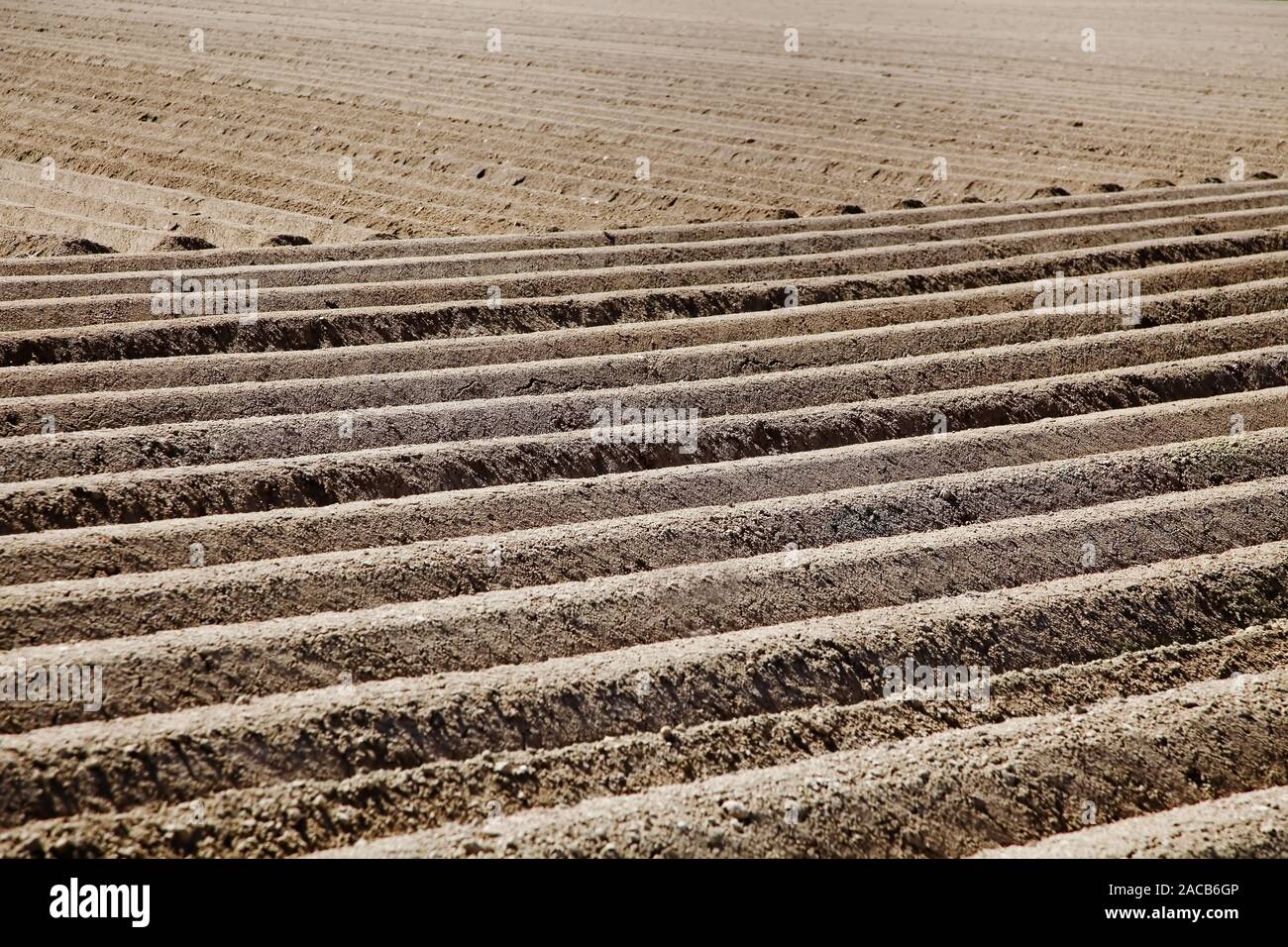 Fresh field in agriculture Stock Photo - Alamy