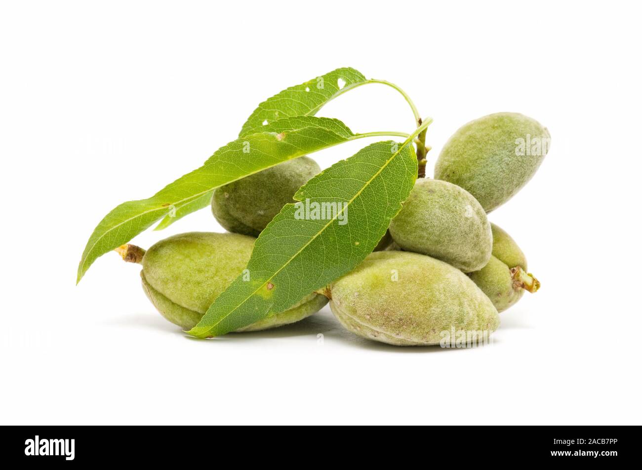 Almonds green hi-res stock photography and images - Alamy