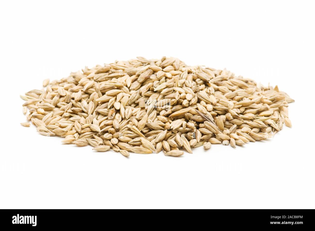 Wheat, barley, rye, and oats Cut Out Stock Images & Pictures - Alamy