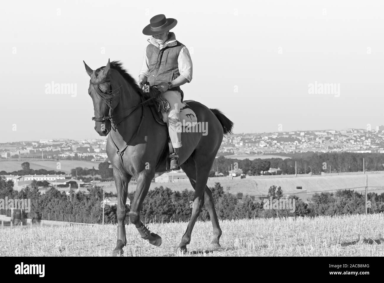 rider and his horse Stock Photo - Alamy