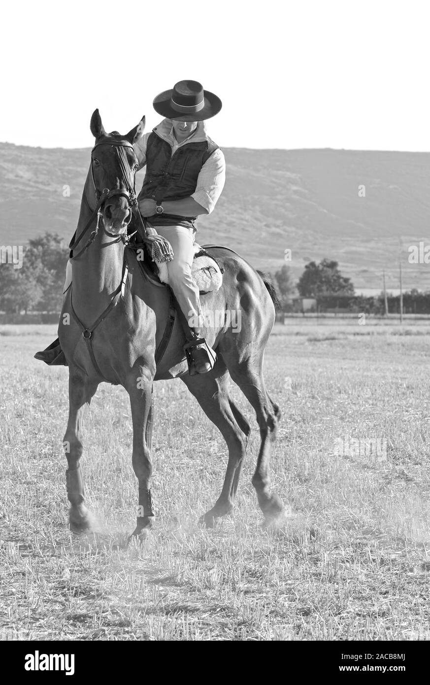 rider and his horse Stock Photo - Alamy