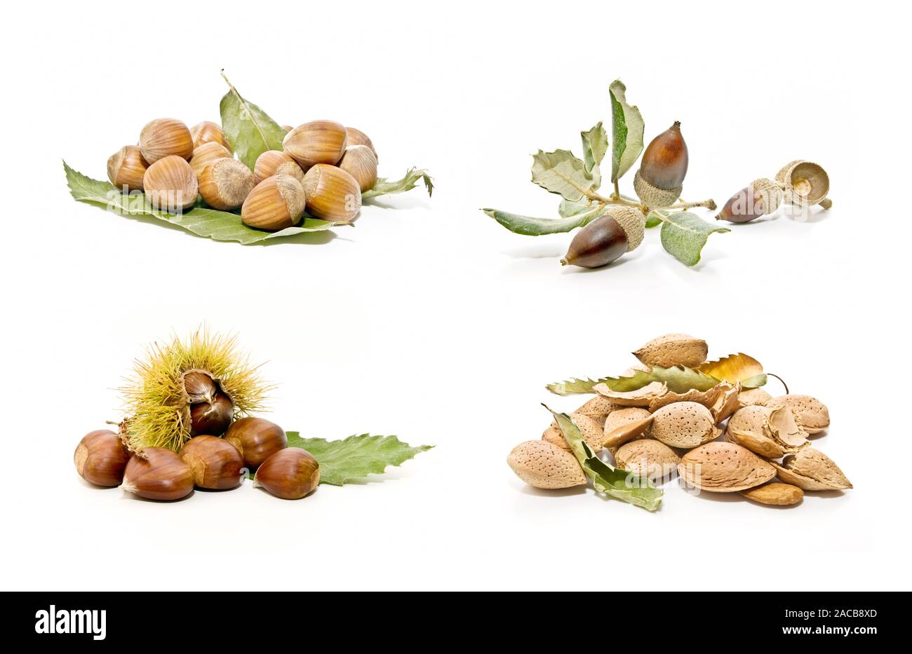 Nuts collection hi-res stock photography and images - Alamy