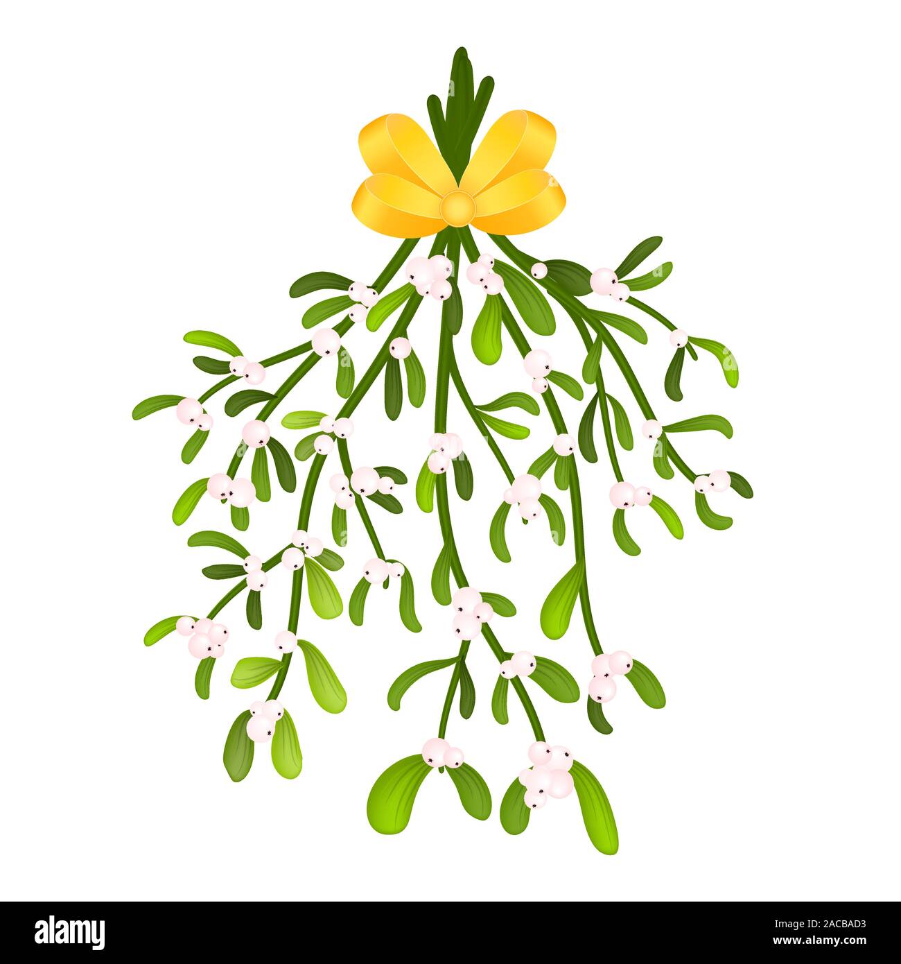 Mistletoe bunch with yellow ribbon isolated on a white background Stock ...
