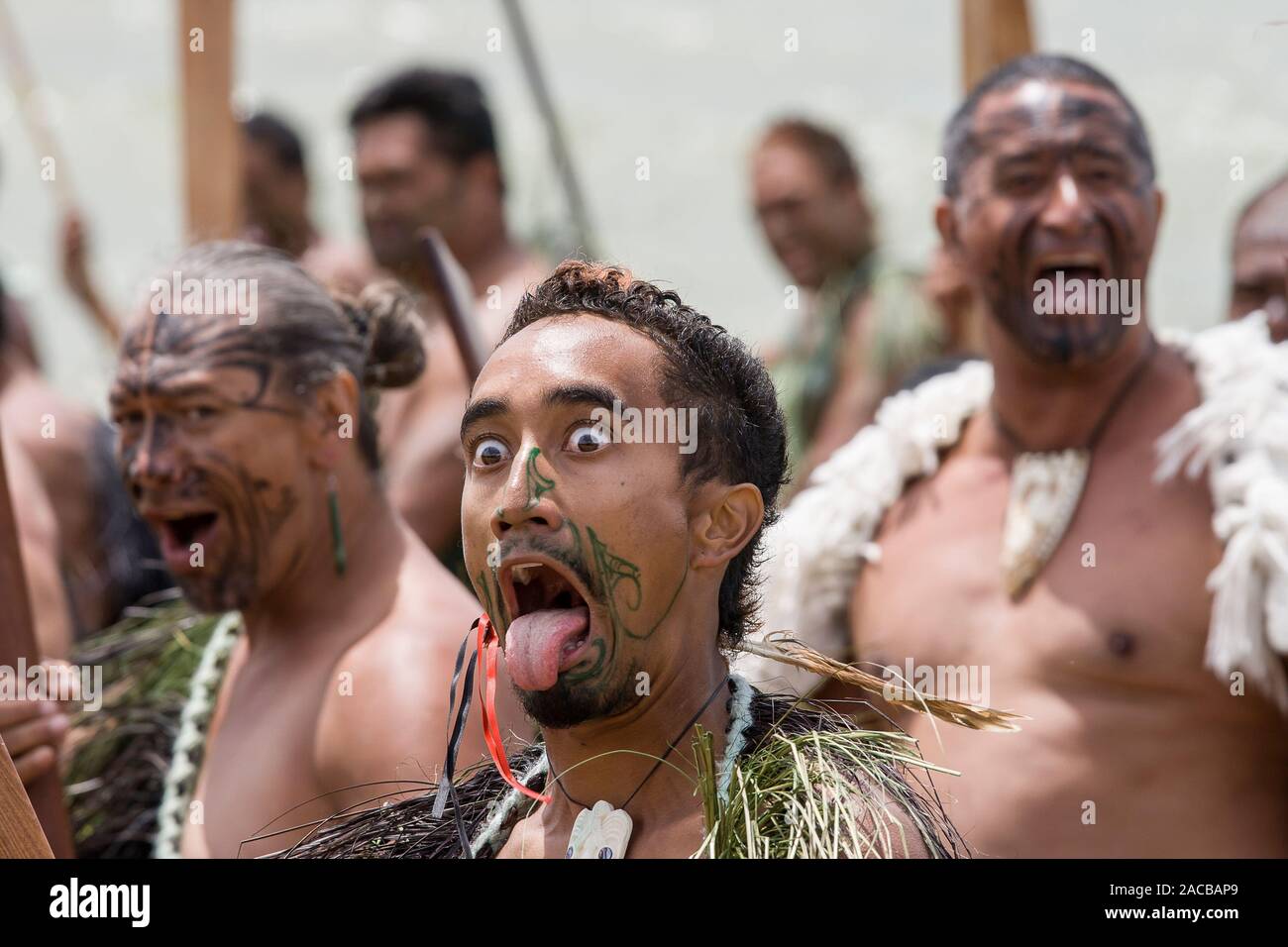 Maori warrior tongue sticking out hi-res stock photography and images ...