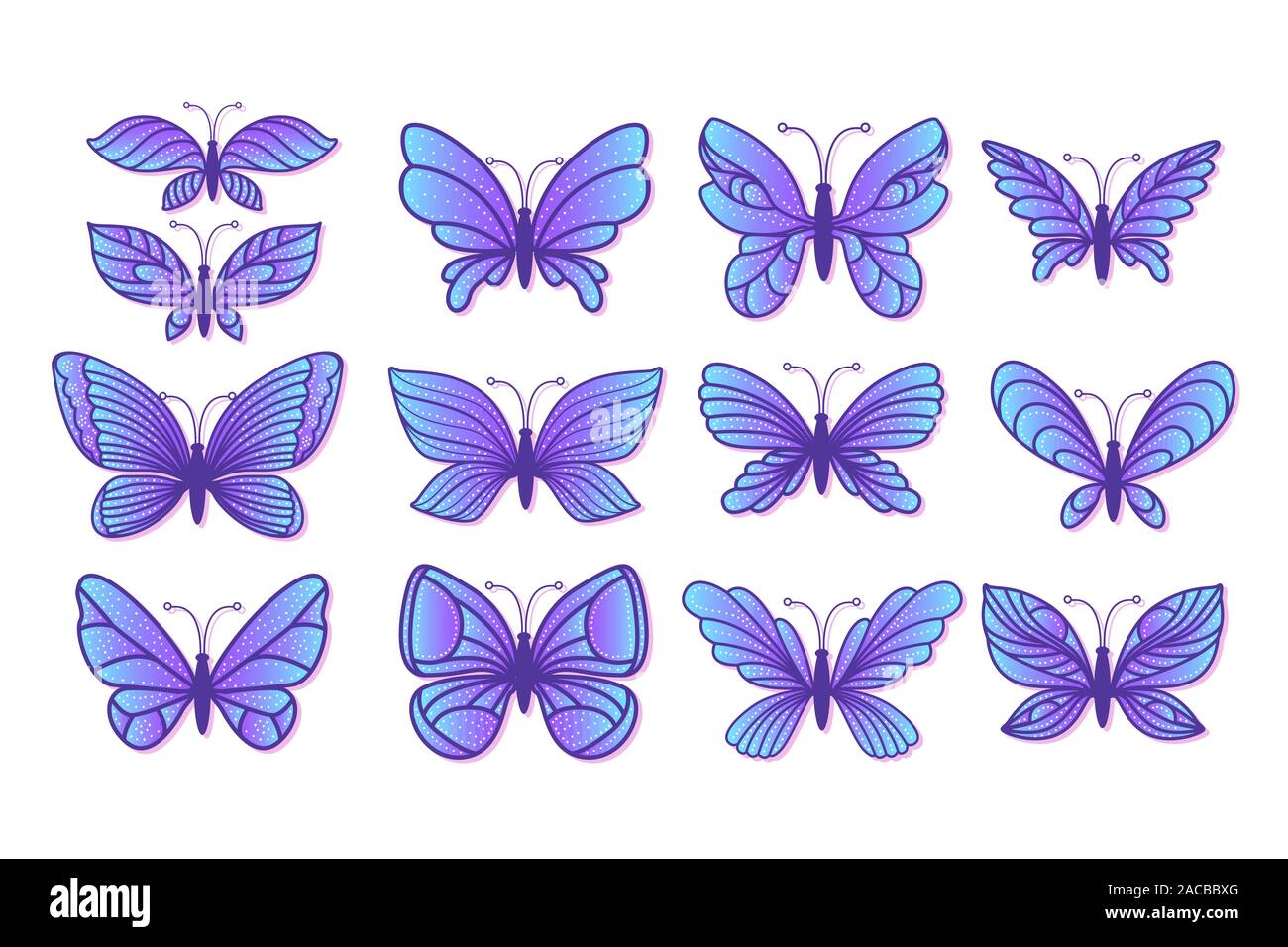 Butterfly Wing Pattern Butterfly Wing Patterns!