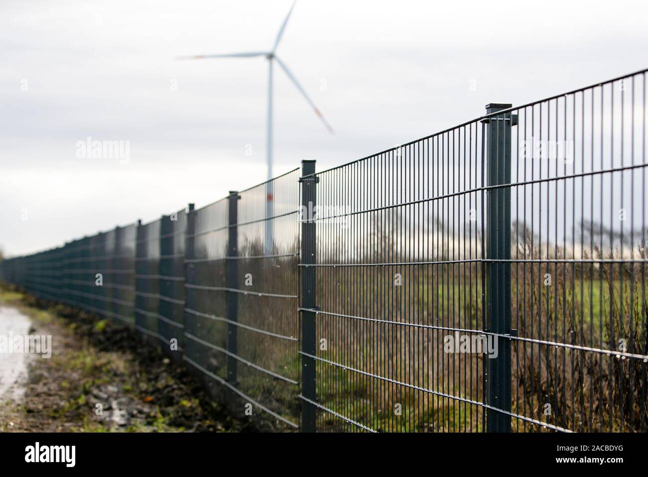 Tinglev, Denmark. 02nd Dec, 2019. The controversial wild boar fence ...