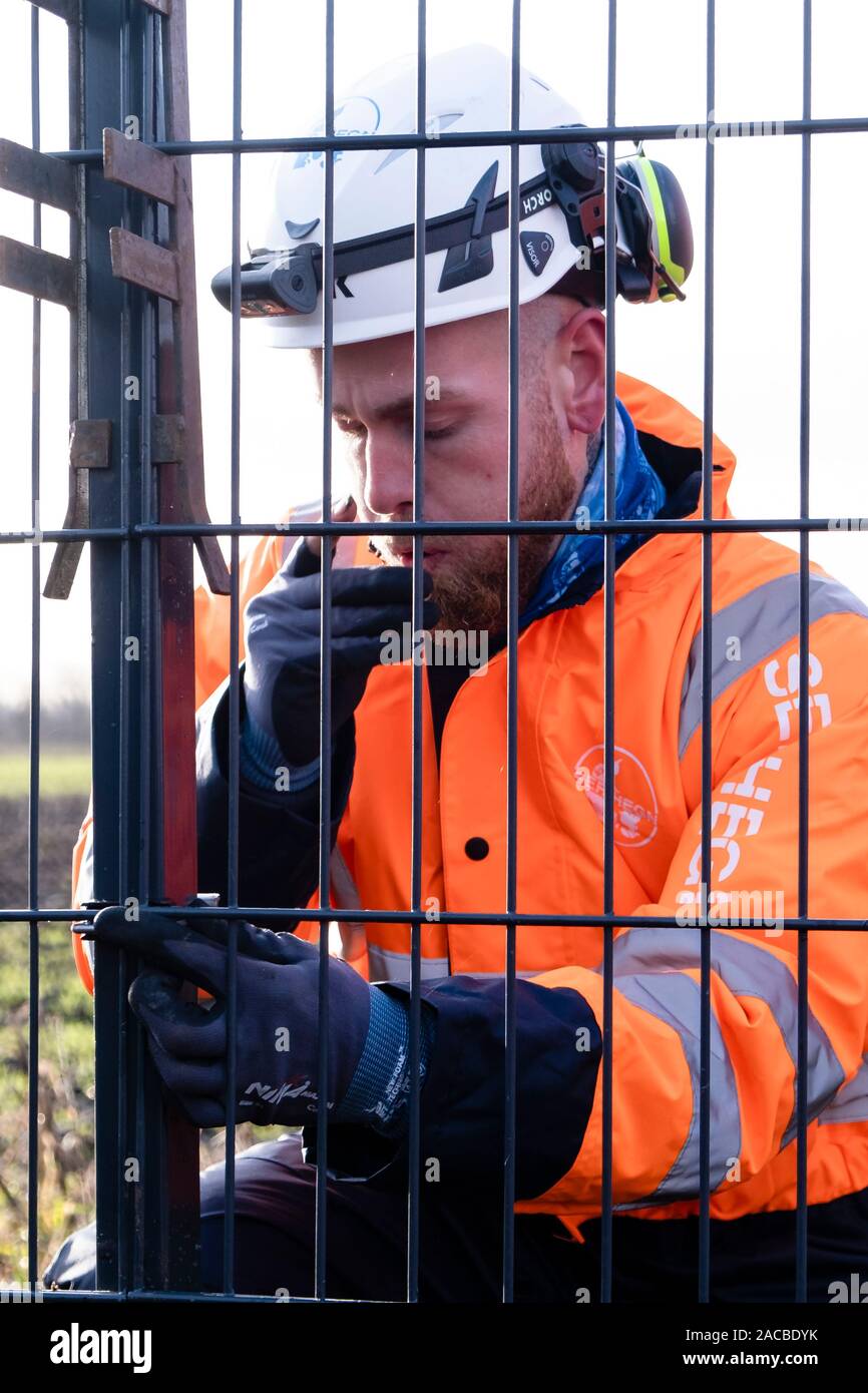 Asf pigs hi-res stock photography and images - Alamy