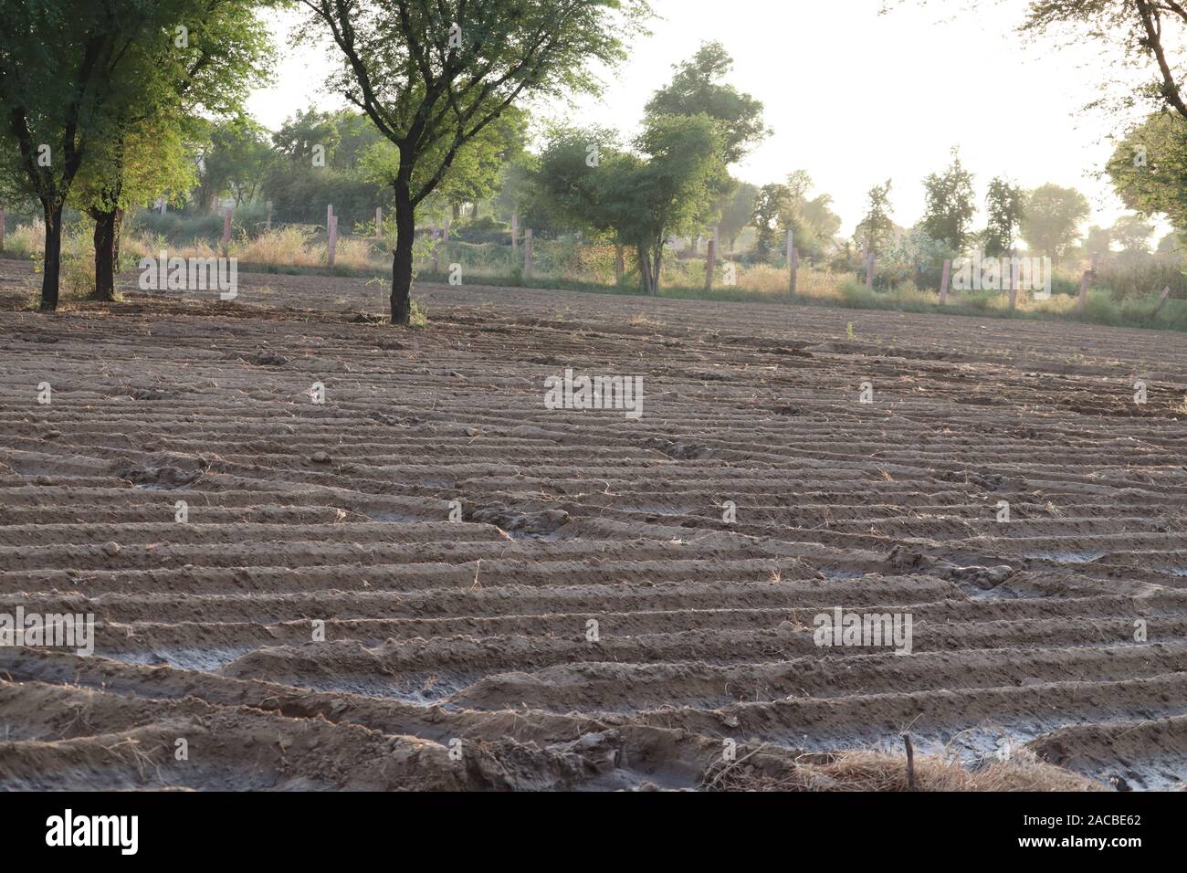 Ready for plough hi-res stock photography and images - Alamy