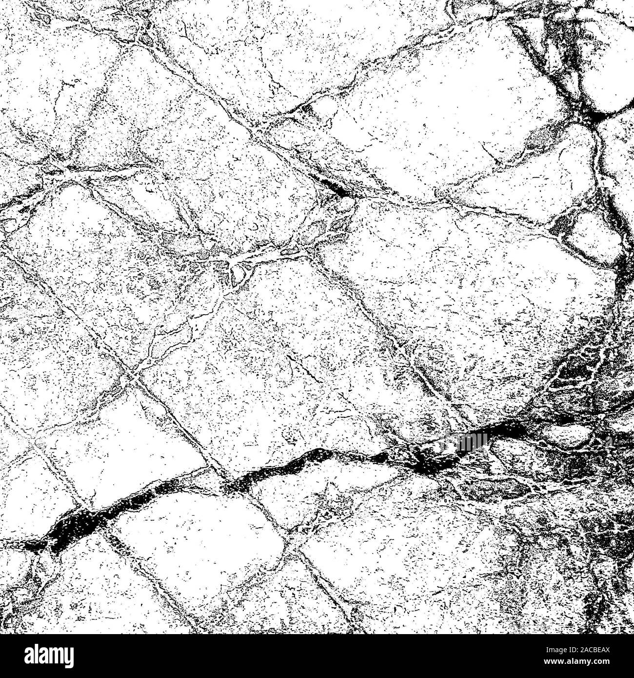 The cracks concrete texture white and black.Cracked earth. Structure of ...