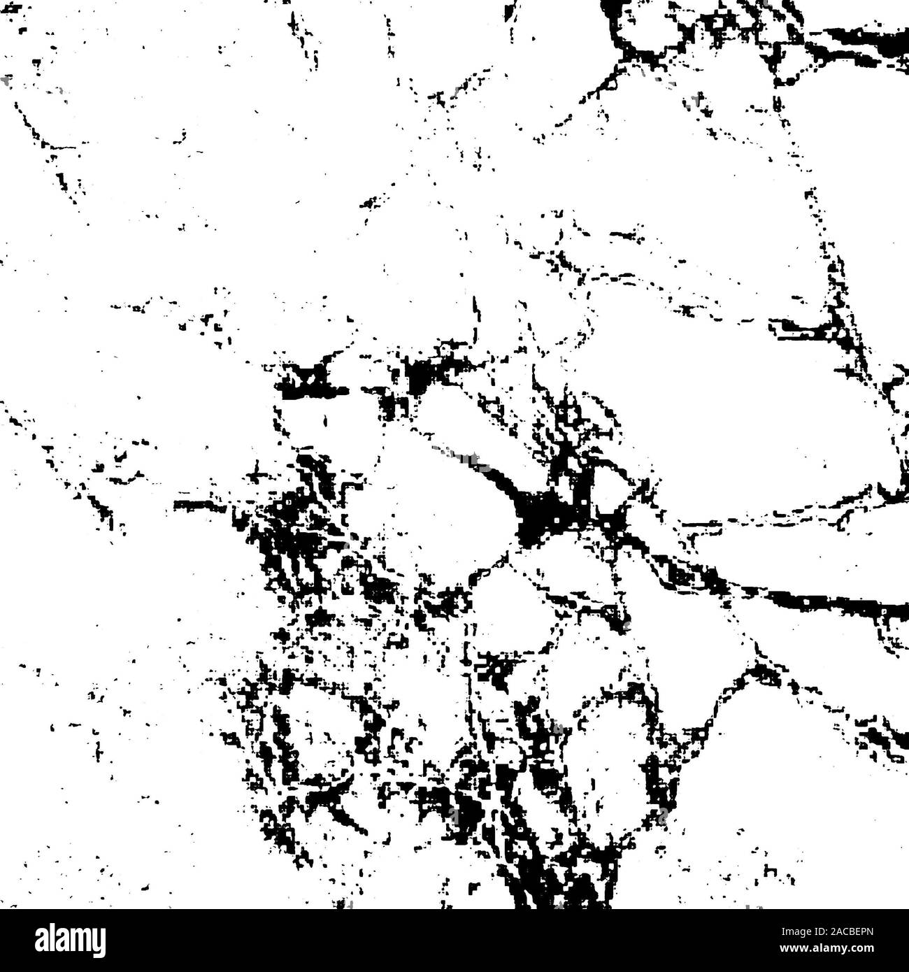 The cracks concrete texture white and black.Cracked earth. Structure of ...
