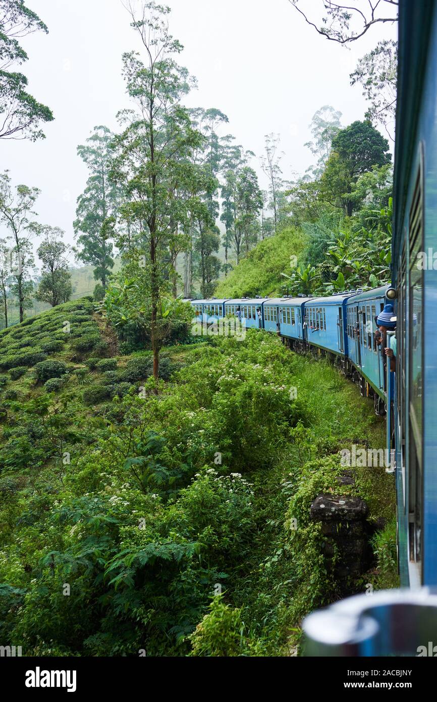 Train Ride from Ella to Kandy Stock Photo - Alamy