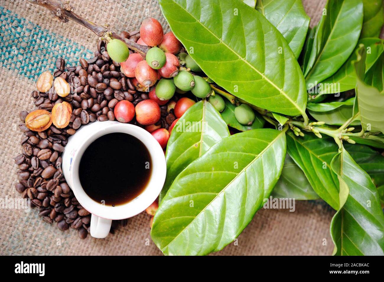 coffee header in hd image Stock Photo - Alamy