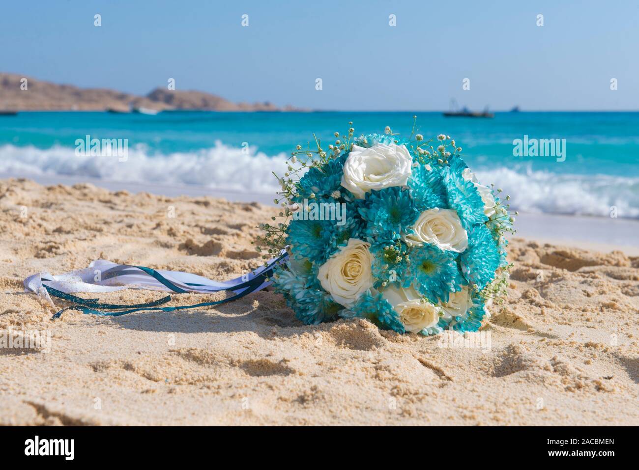 Tropical beach flowers hi-res stock photography and images - Alamy