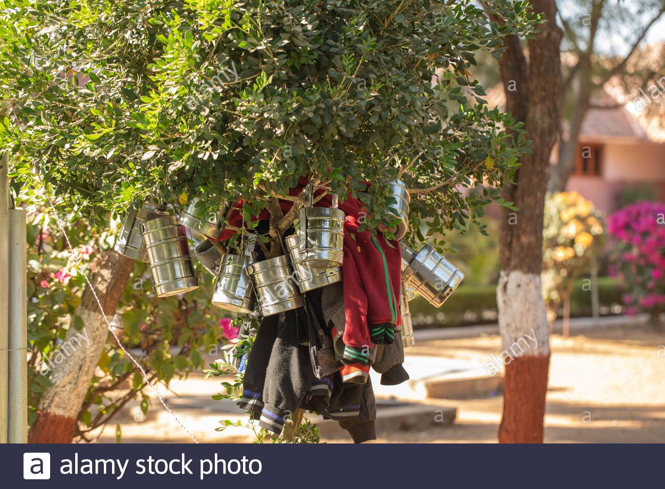 Stainless Steel Tiffin Box High Resolution Stock Photography and Images ...