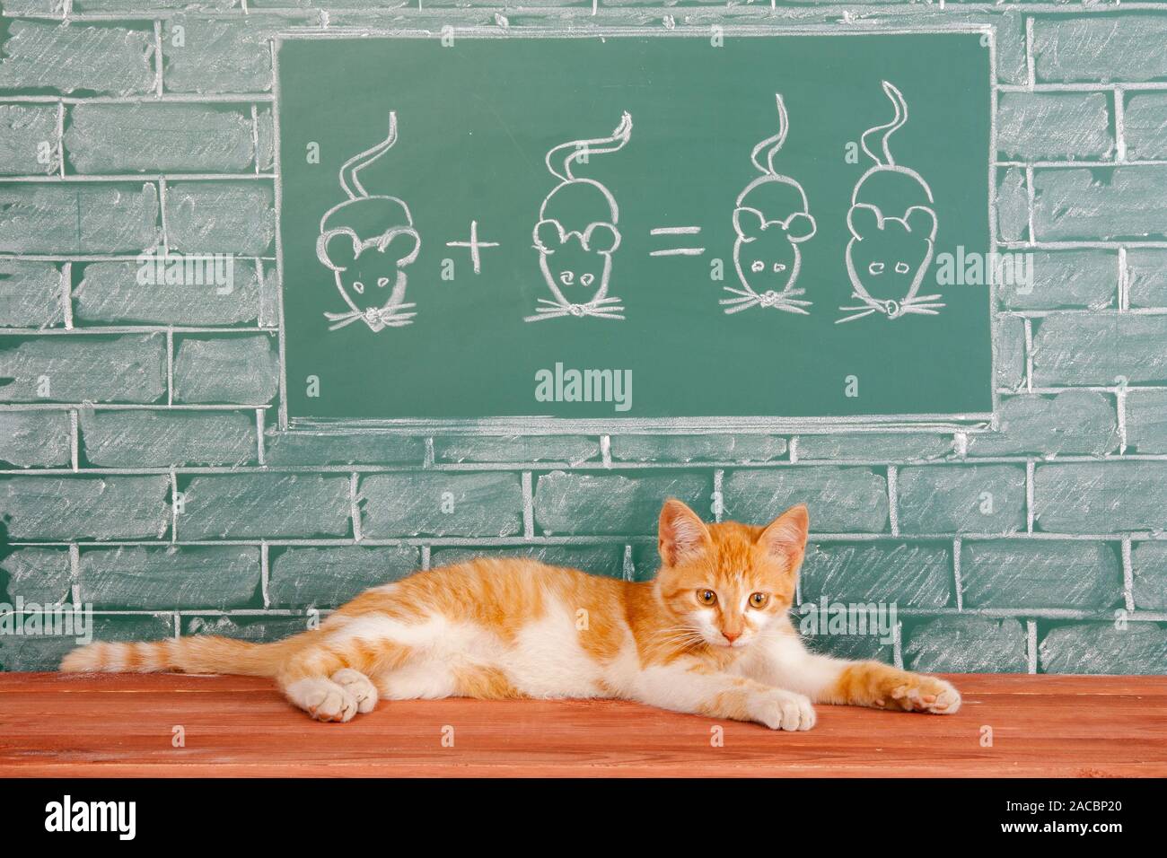Mathematics student hi-res stock photography and images - Alamy