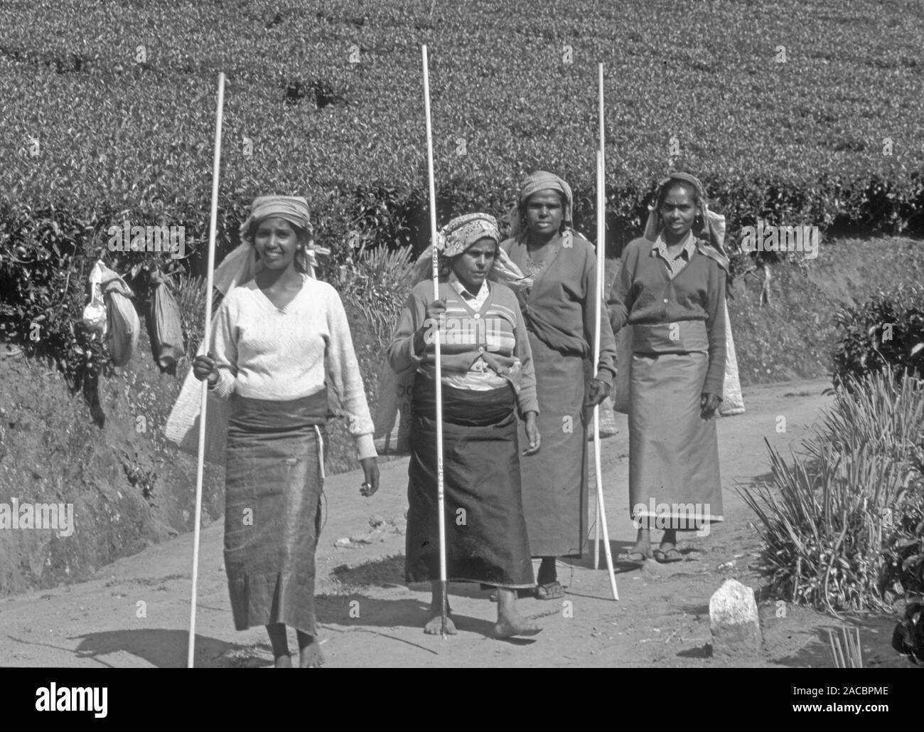 Ceylon tamil Black and White Stock Photos & Images - Alamy