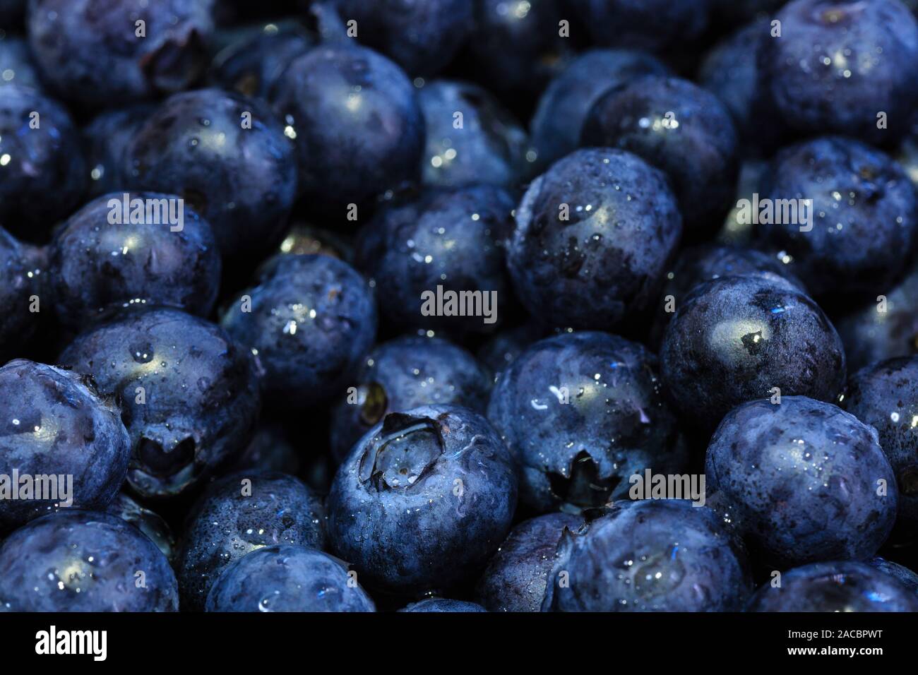 Fresh blueberry background. Texture blueberry berries close up Stock ...