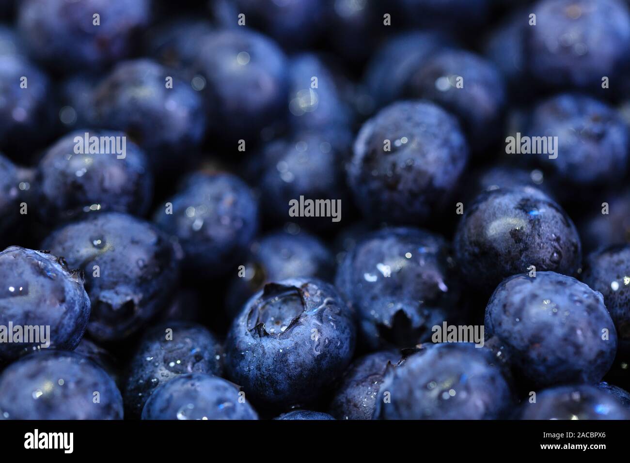 Fresh blueberry background. Texture blueberry berries close up Stock ...